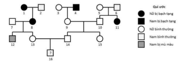 Ở người, bệnh bạch tạng do gene lặn nằm trên NST thường quy định, allele trội tương ứng quy định ...